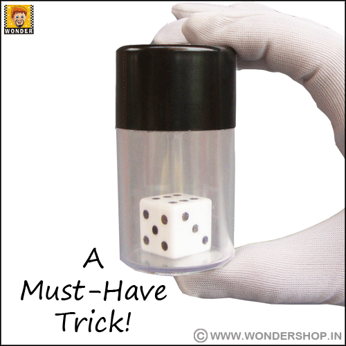 Dizzy Dice Magic Trick | WonderShop.In