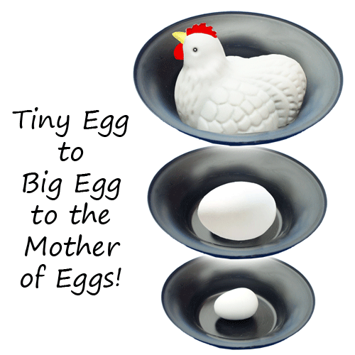 Egg Surprise Magic Trick | WonderShop.In
