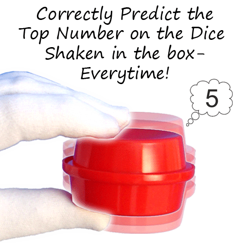 Gamblers Dice Magic Trick | WonderShop.In