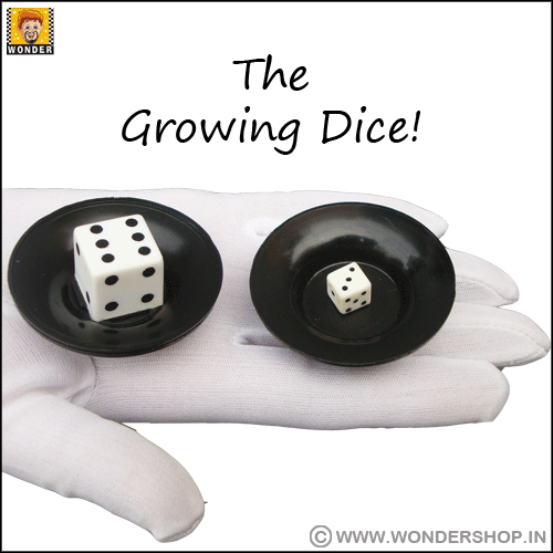 Growing Dice Magic Trick | WonderShop.In