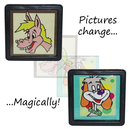 Magic Photo Frame Magic Trick | WonderShop.In