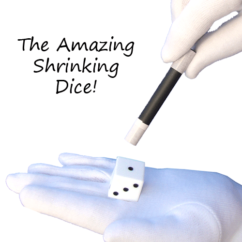 Shrinking Dice Magic Trick | WonderShop.In